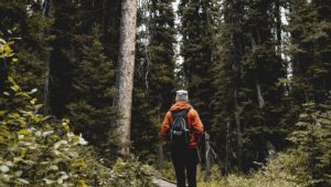 5 Best Spring Hikes in Mammoth Lakes | ASO Mammoth