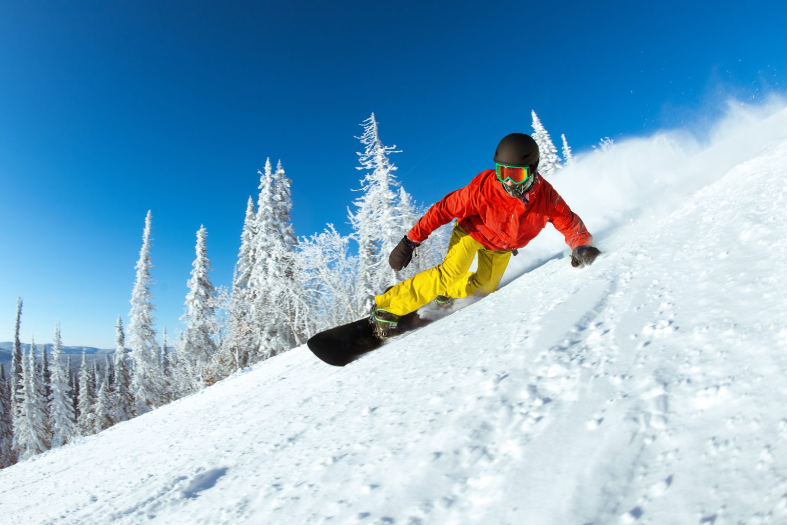 Are Most Snowboarders Goofy or Regular?