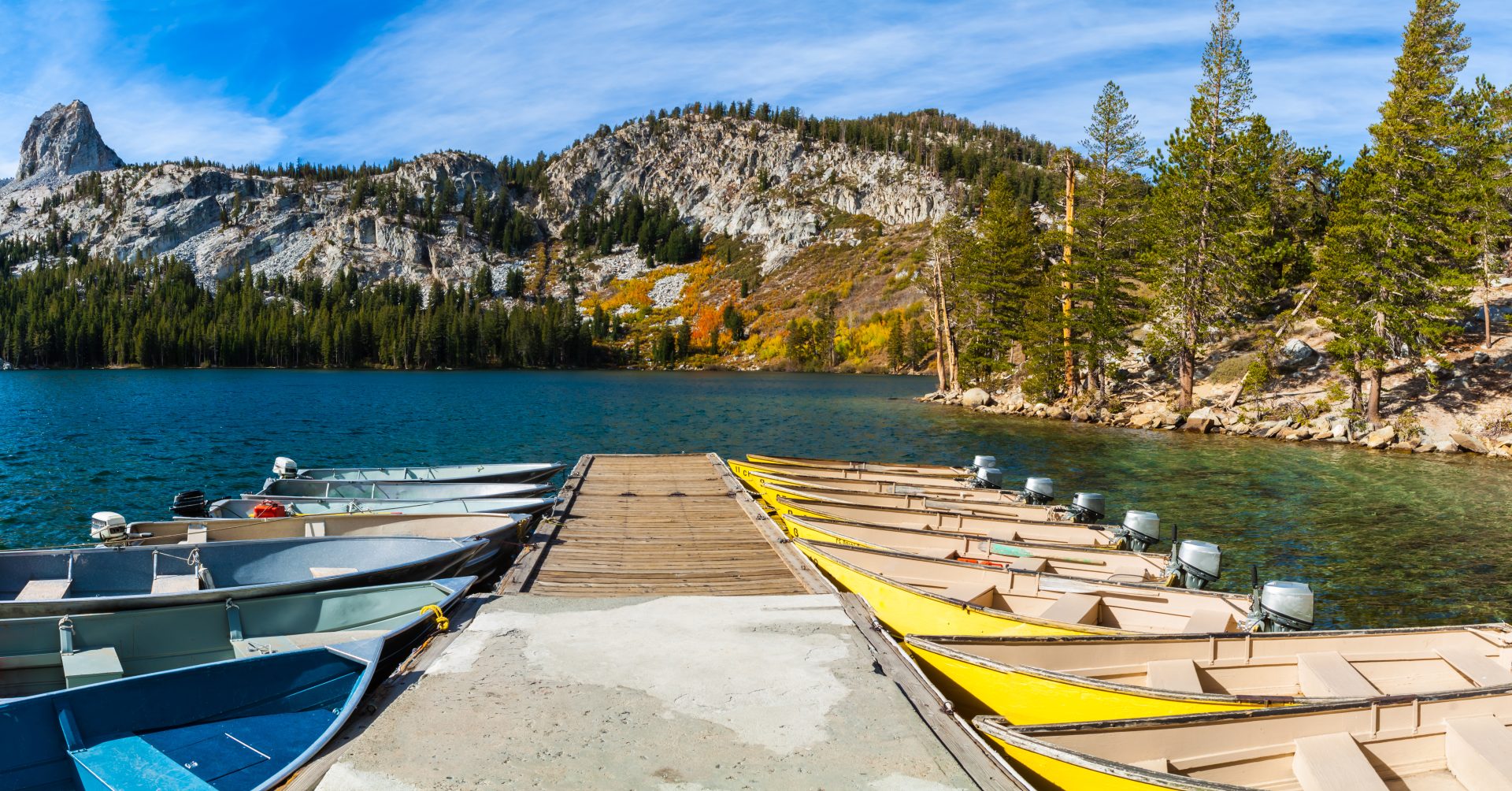 What Is the Most Popular Fish in Mammoth Lakes, CA?